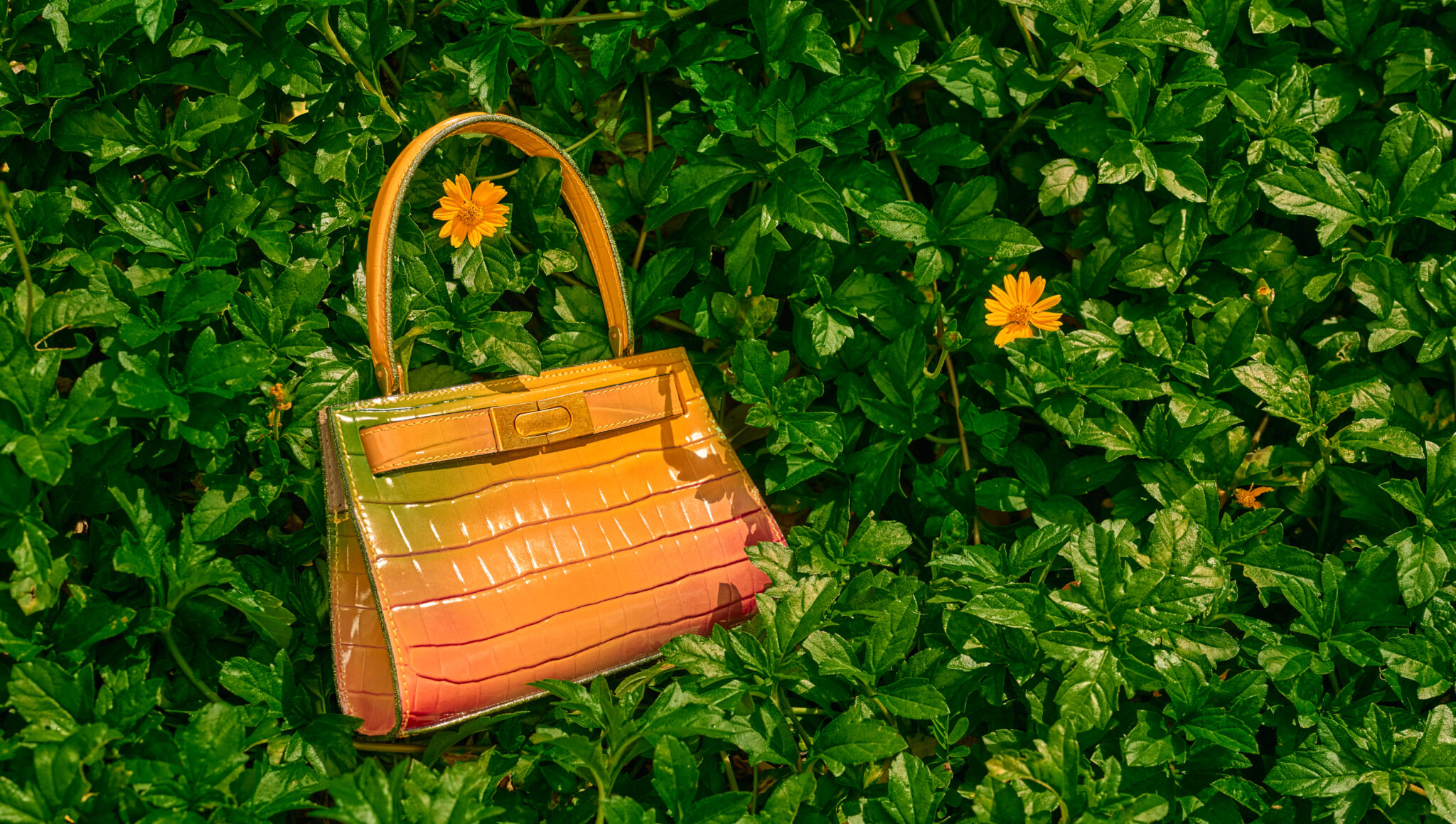 D&A Edge Polymer Officially Becomes bluesign® system partner - D&A