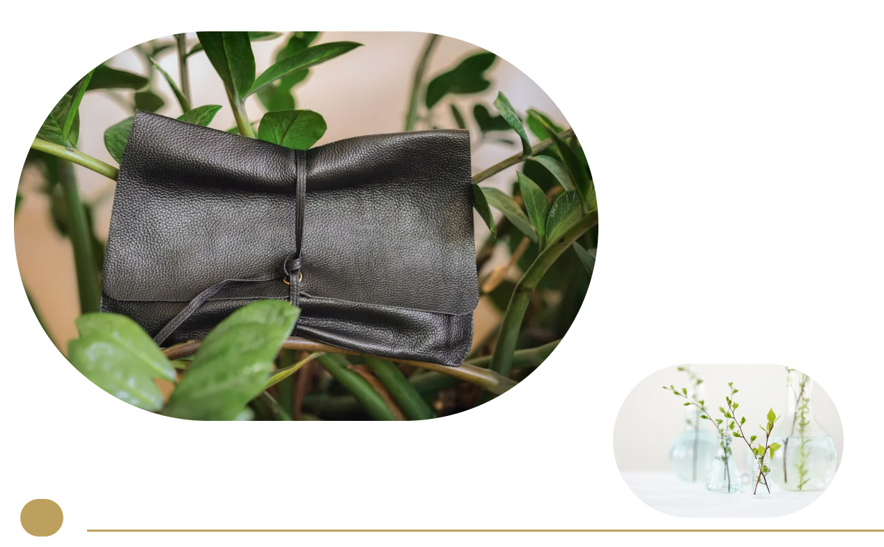 Sustainable Eco-friendly Cleaning Products | Lorence Launches ...