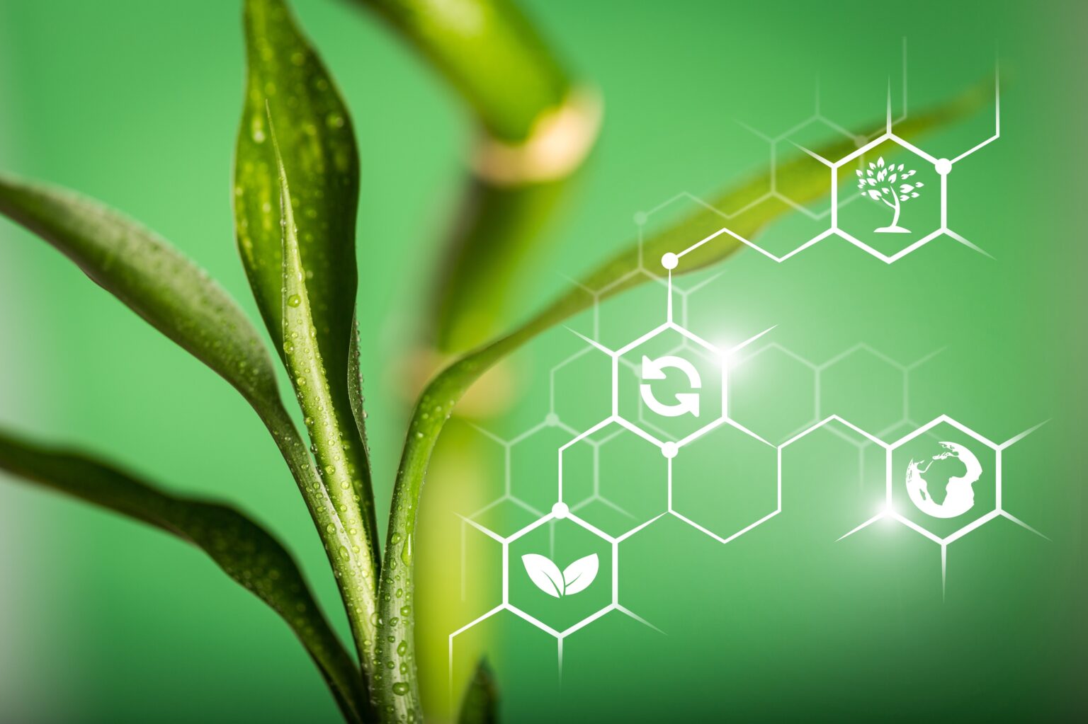 An Eco-Friendly Tribute for World Ocean Day | Technical Control Bio-PU ...